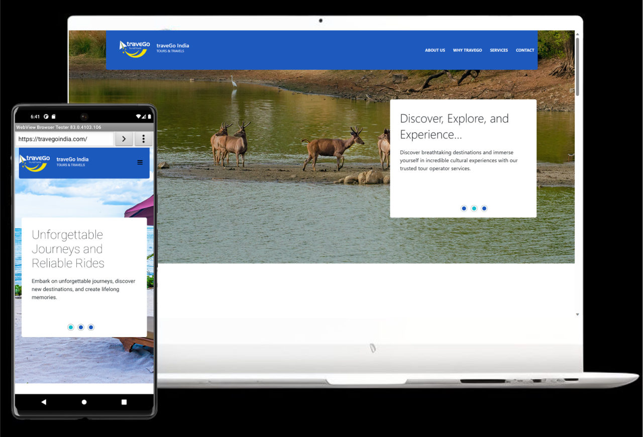 Nibin | Software Developer | IT Professional